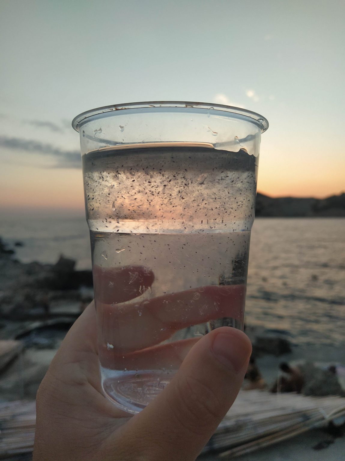 Na Pelješcu i nekim dubrovačkim plažama se pojavio plaštenjak Thalia ...